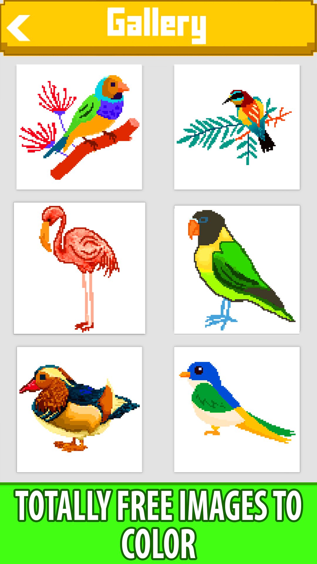 Amazon.com: Birds Pixel Art - Paint by Number, Sandbox Coloring Pages ...