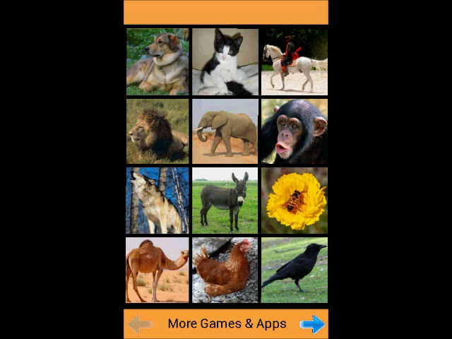 Zoo Sound Board Pro:Amazon.in:Appstore for Android