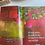 Nuts to You!: Amazon.co.uk: Ehlert, Lois: 9780152050641: Books