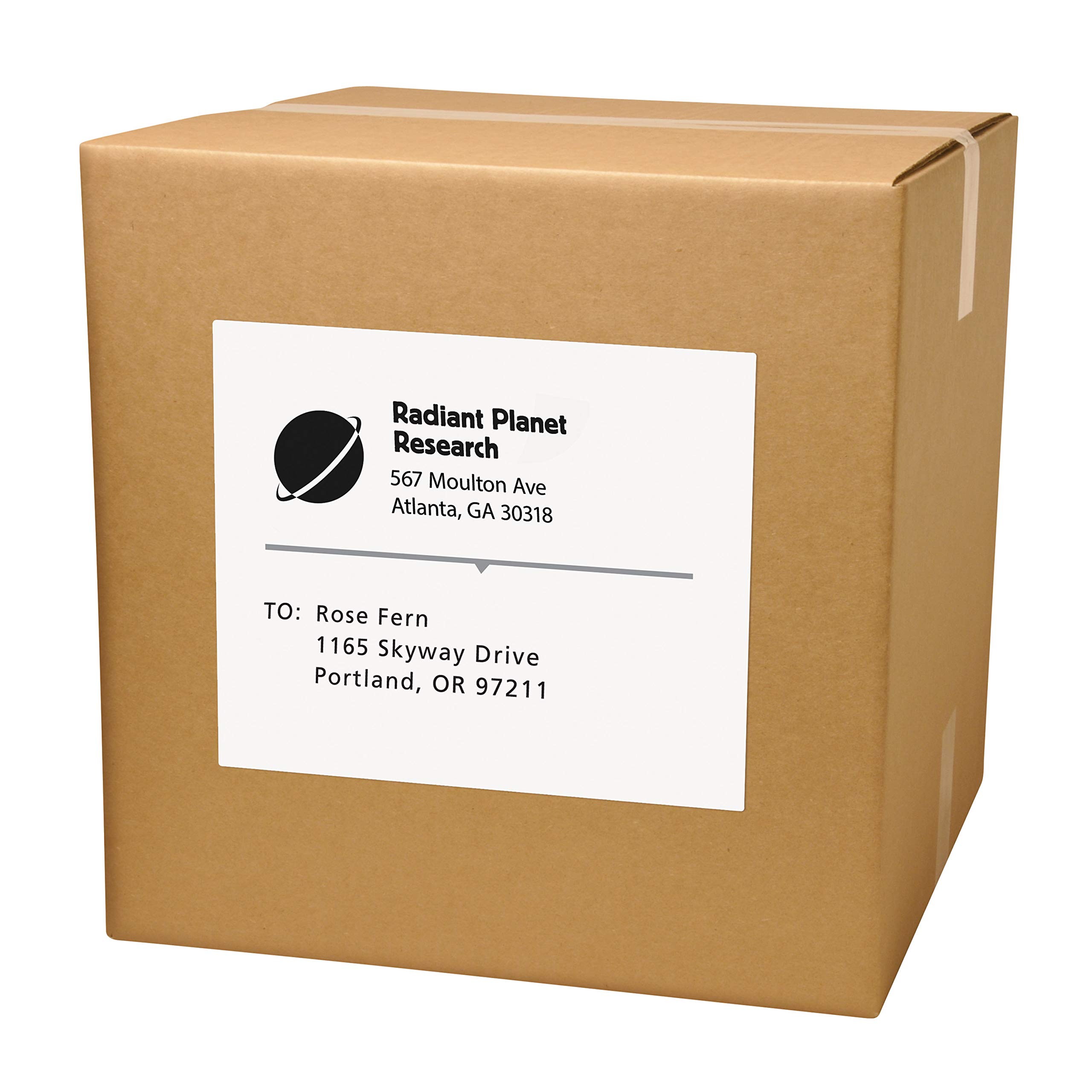 Mua Avery Printable Shipping Labels for Copiers, 8.5" x 11", White, 100 ...