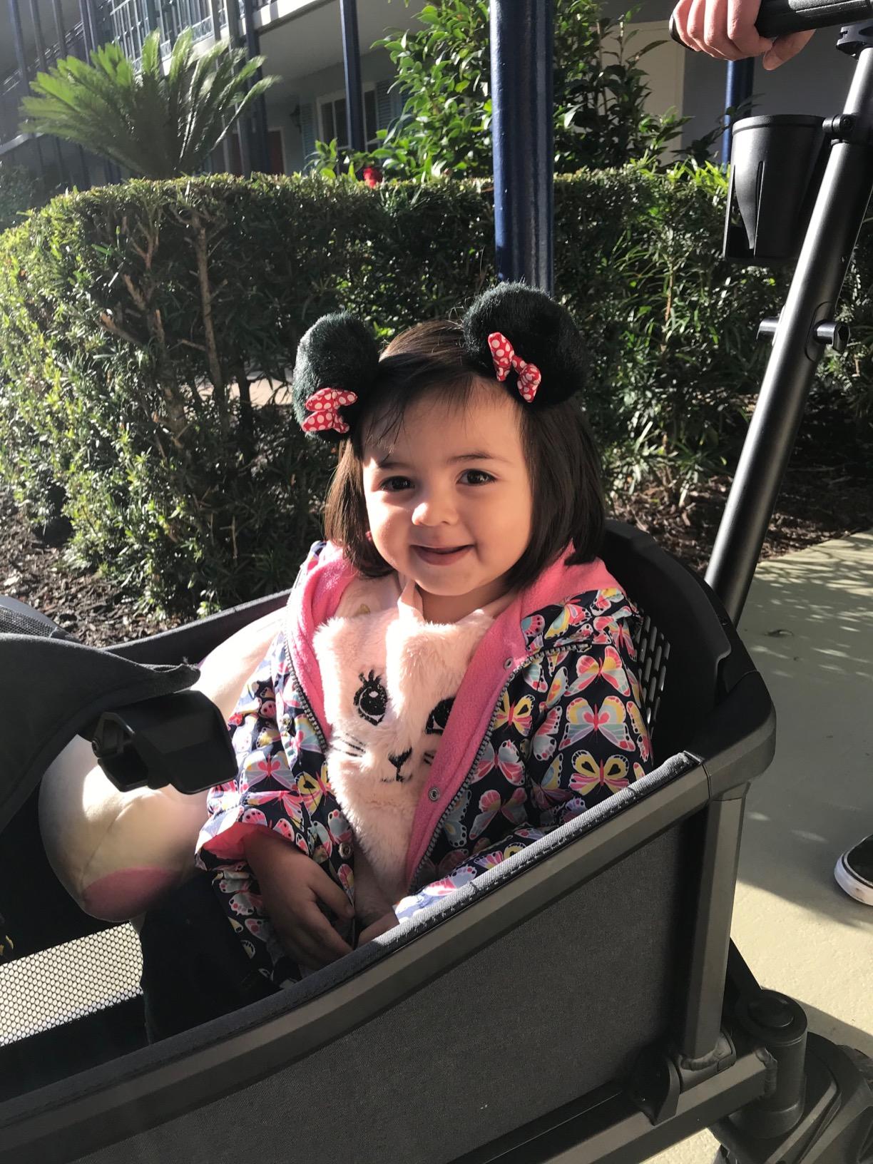 $67/mo - Finance Veer Cruiser | Next Generation Premium Stroller Wagon ...