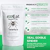ecoEat Edible Tarantula Spider - 100% Edible Bug Edible Dehydrated ...