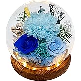 Amazon.com: Valley of Rain & Forest Long-Lasting Real Flowers, Unique ...