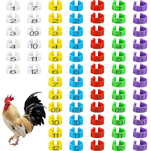 Amazon.com: 72 Pieces 16 mm Chicken Leg Rings Multiple Colour Chicken ...