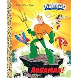 Amazon.com: Bad Weather! (DC Super Friends) (Little Golden Book ...