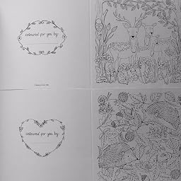 The National Trust: Colouring Book of Cards and Envelopes: Nature ...