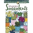Amazon.com: Creative Haven Stunning Succulents Easy Coloring Book ...