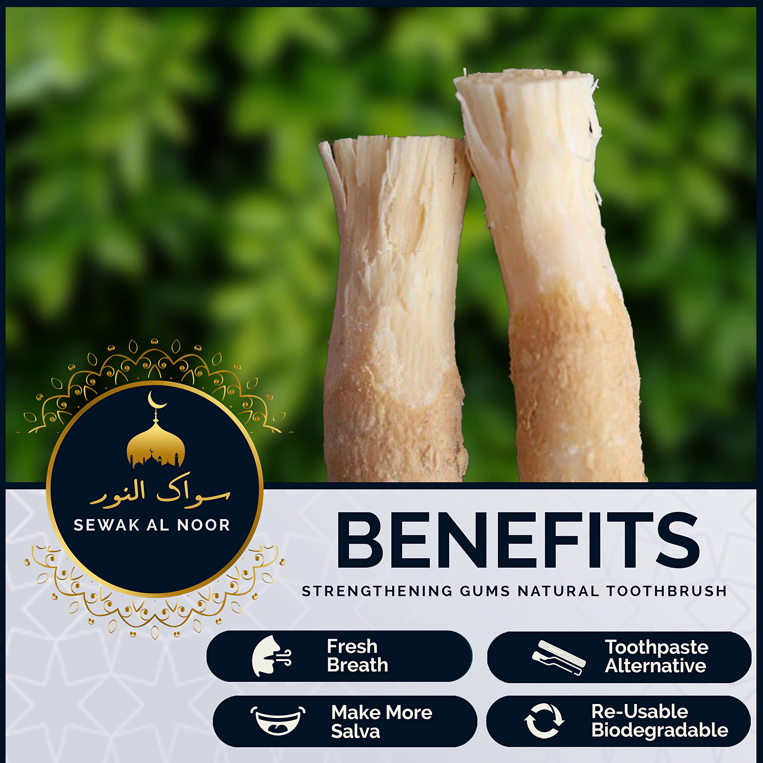 Mua Sewak Al Noor Pack of 10 Miswak Sticks for Teeth with Holder ...