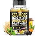 Amazon.com: Sea Moss, Black Seed Oil, Ashwagandha, Ginger, Shilajit Gummies with Elderberry ...