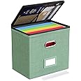 Amazon.com: Oterri File Organizer Boxes with Lids, File Box with Mesh ...