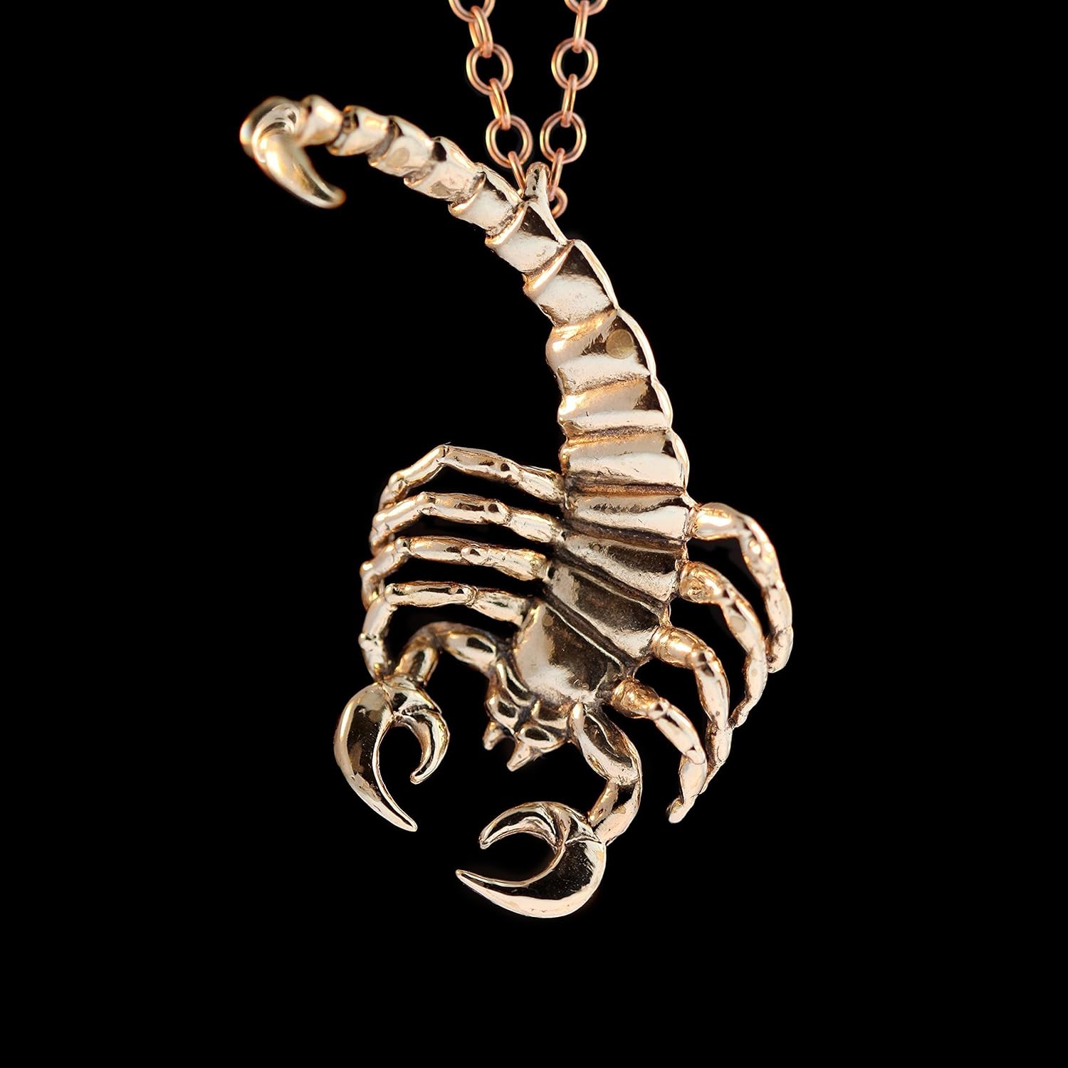 Amazon.com: Bronze Scorpion Pendant Necklace Scorpio Astrology Zodiac ...