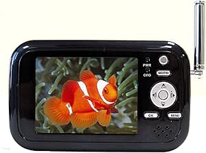 Amazon.com: iVIEW-352PTV 3.5-Inch Portable Digital LCD TV : Electronics