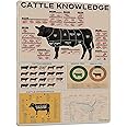 Amazon.com: Cattle Knowledge Metal Tin Sign Cattle Infographics Funny ...