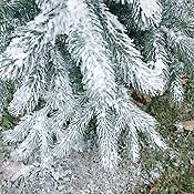 Amazon.com: Peak Seasons 11102 2 Lbs White Sno-Bond Flock In A Box ...