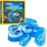 Amazon.com: Dissect-It Simulated Synthetic Lab Dissection Toy, STEM ...