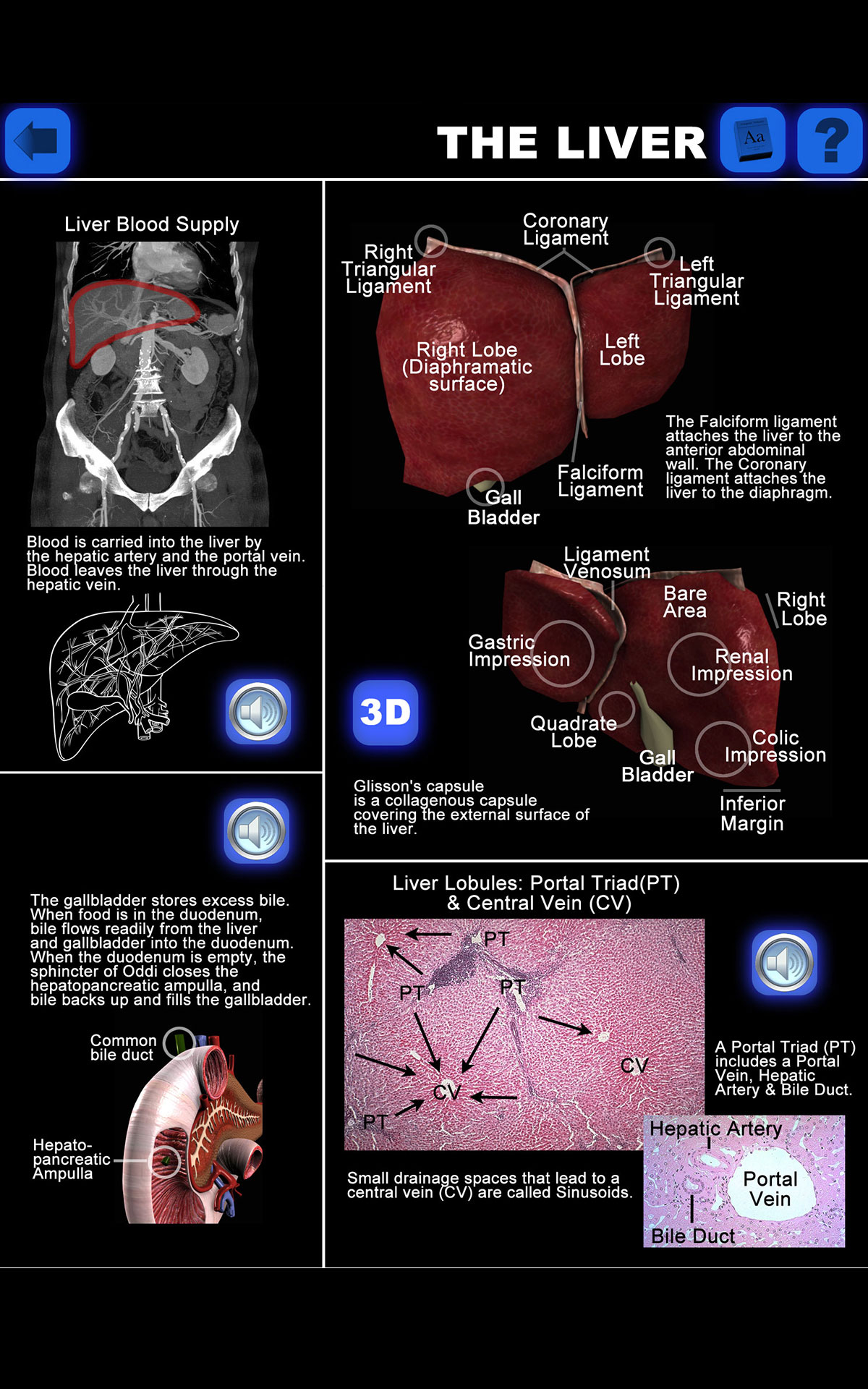 Anatomy 3D: Organs:Amazon.de:Appstore for Android