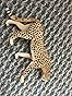 Amazon.com: MOJO Cheetah (Male) Realistic International Wildlife Toy ...
