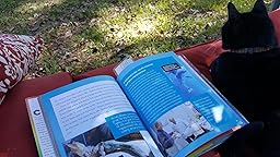 Unstoppable: True Stories of Amazing Bionic Animals: Nancy Furstinger: 9780544879669: Amazon.com ...