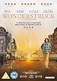Wonderstruck [DVD] [2018]: Amazon.co.uk: Julianne Moore, Michelle ...