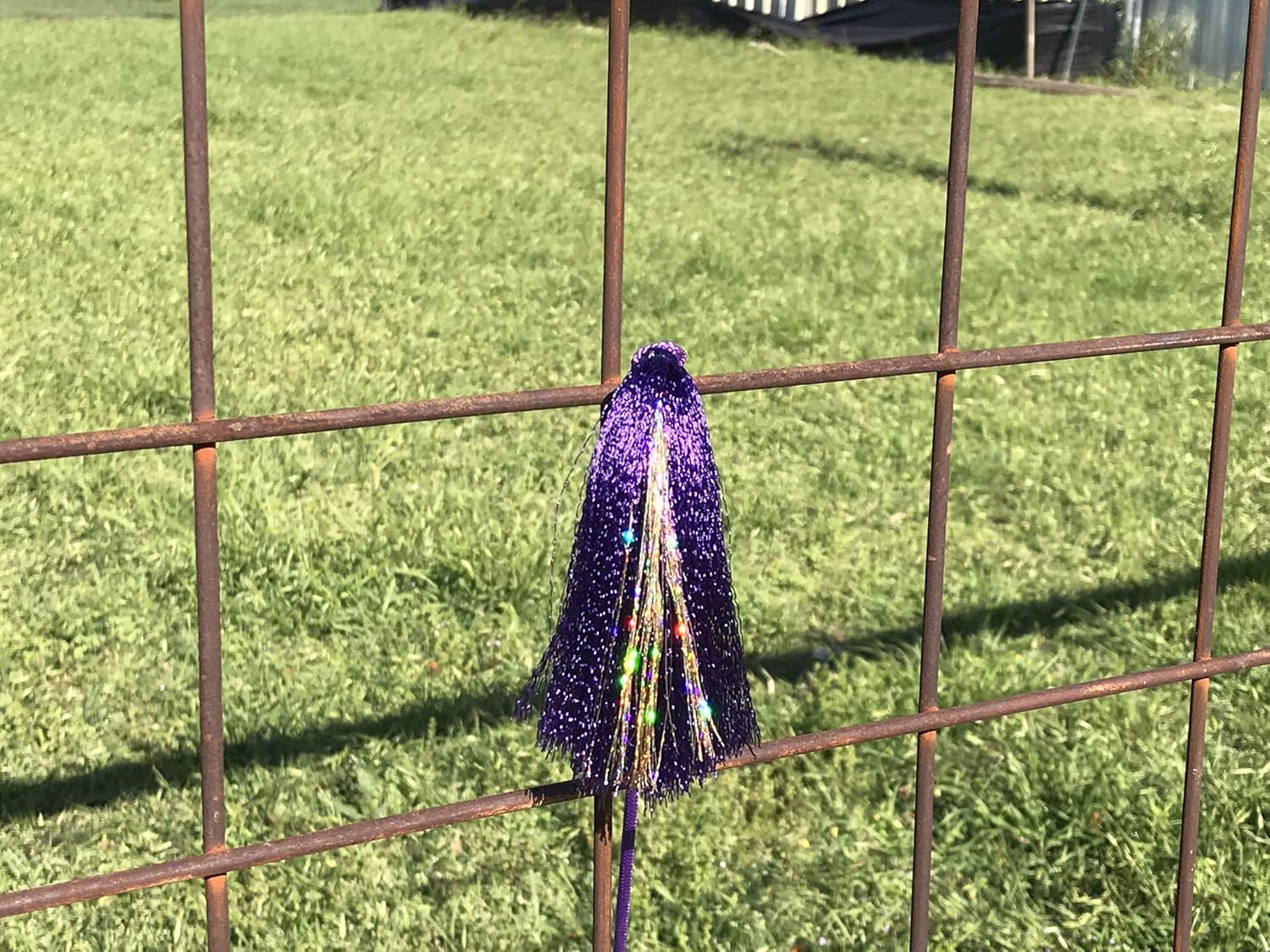 Amazon.com: Show Pig Whip - Purple - Purple & Gold: Handmade