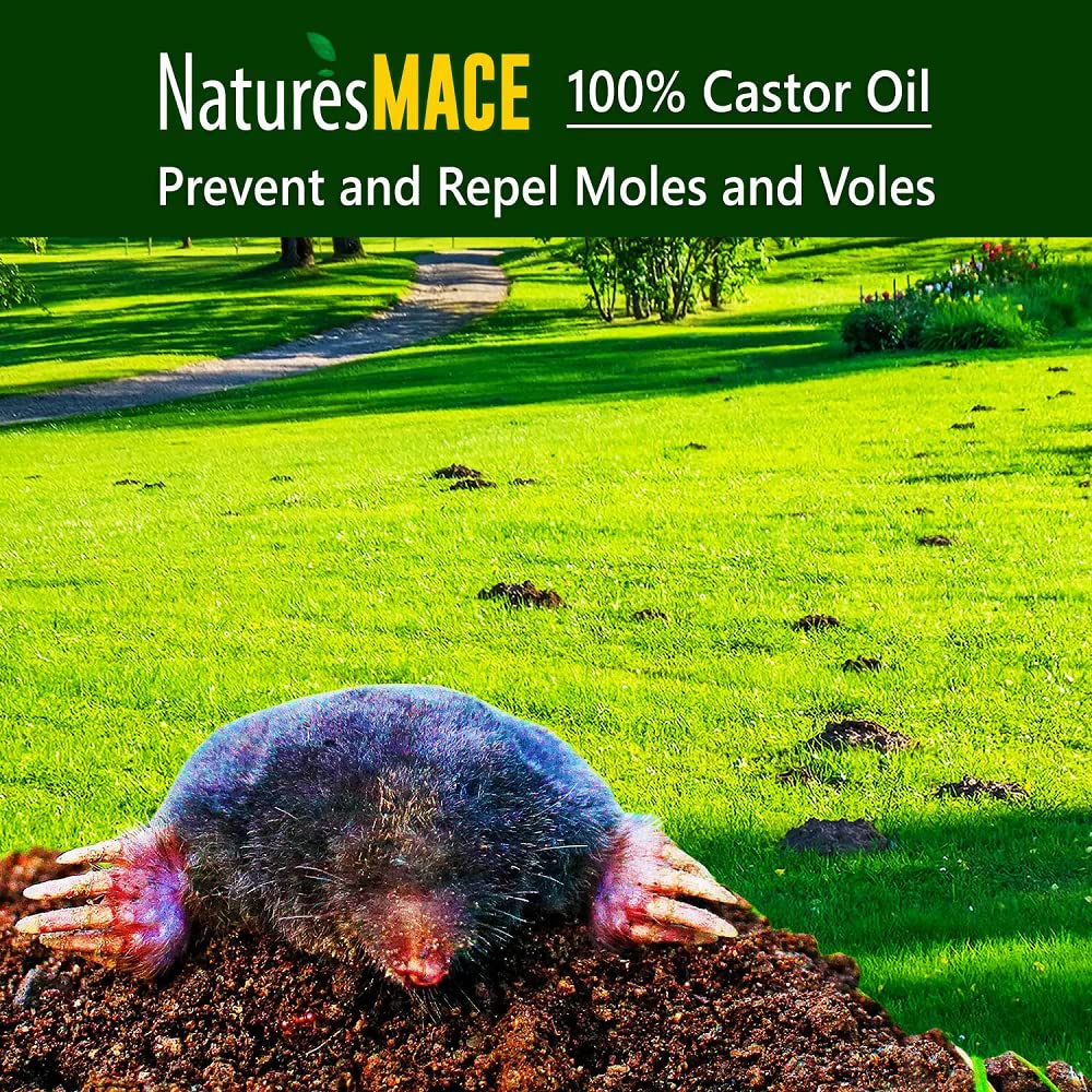 Mua Nature's MACE Mole and Vole Mace, Mole Deterrent for Yard, 1 Gallon ...