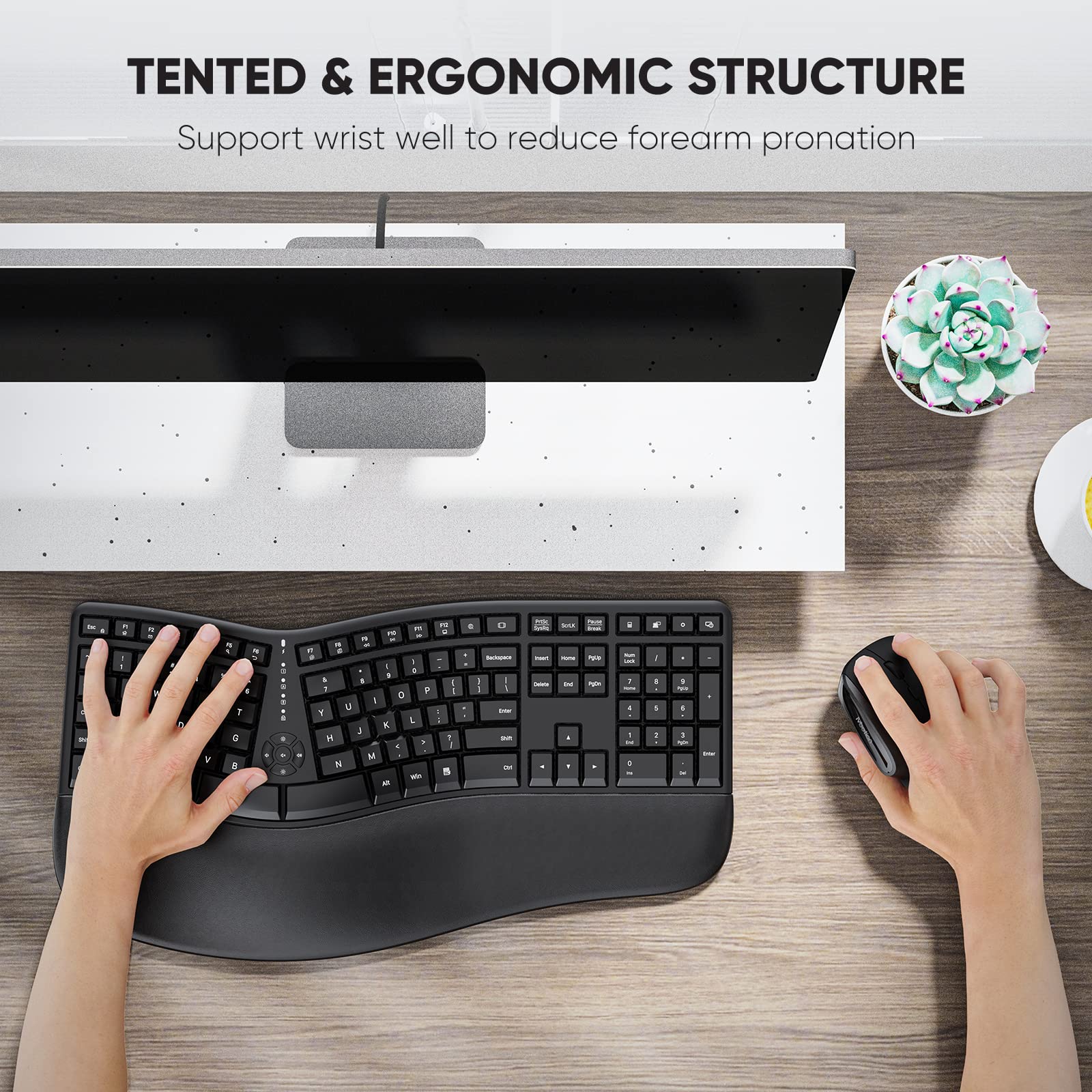 Mua Ergonomic Wireless Keyboard and Mouse, Ergo Keyboard with Vertical ...