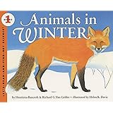 Every Autumn Comes the Bear: Jim Arnosky: 9780698114050: Books - Amazon.ca