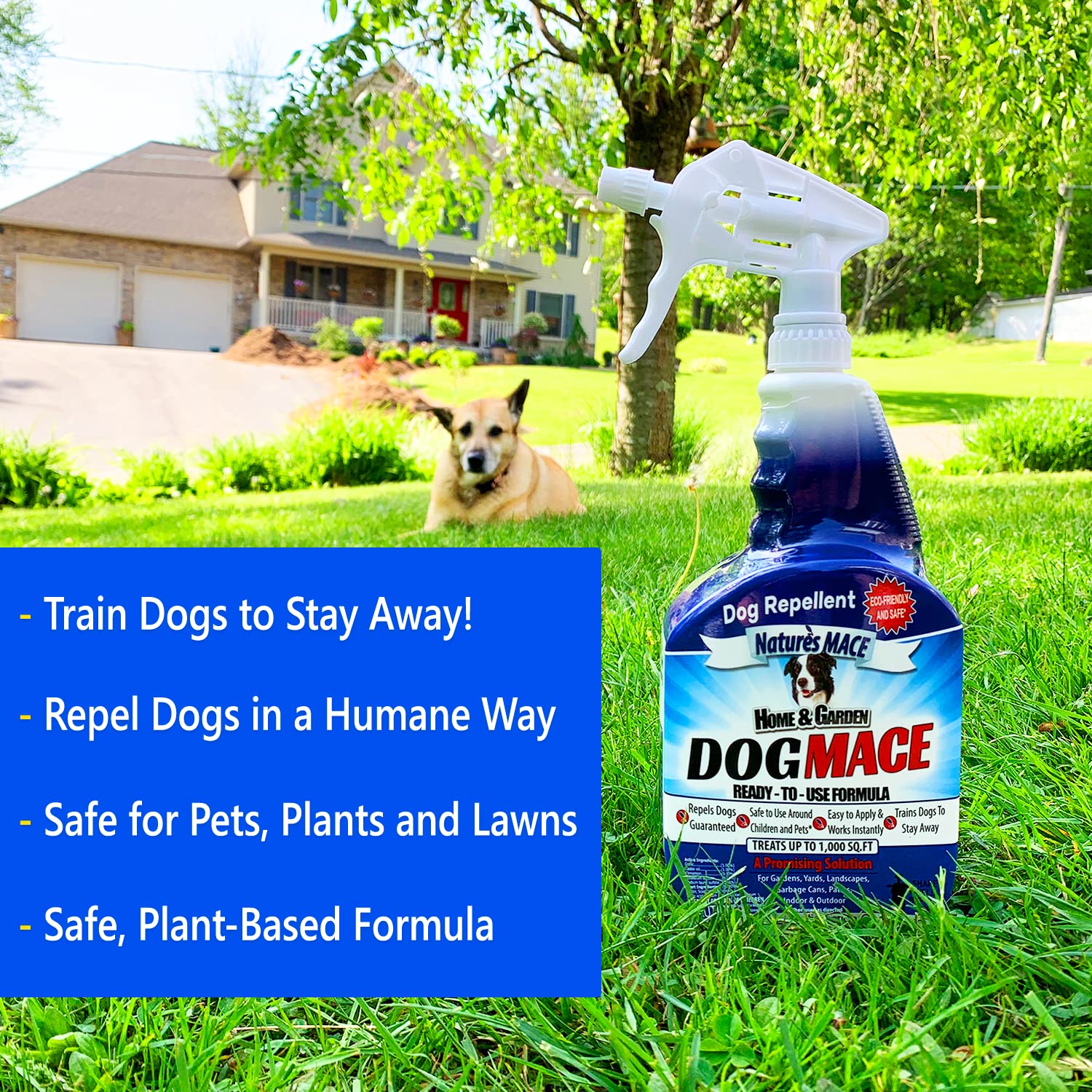 Mua Nature’s MACE Dog Repellent 40oz Spray,Treats 1,000 Sq. Ft., Keep ...
