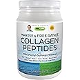 Amazon.com: ANDREW LESSMAN Marine & Free Range Collagen Peptides Powder ...