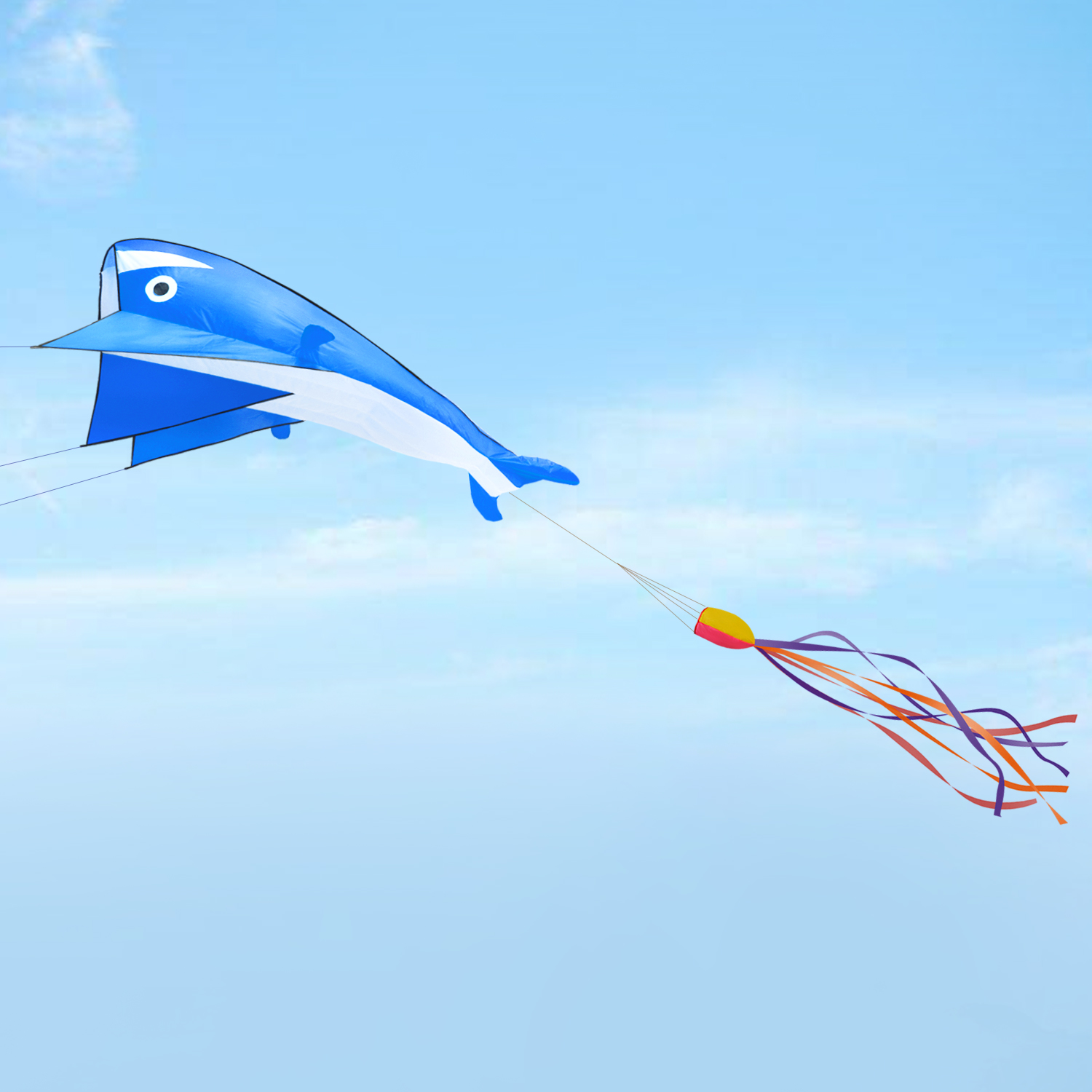 Watch IMAGE Frameless 3D Dolphin Blue Kite on Amazon Live