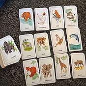 School Zone - Animals of All Kinds Flash Cards - Ages 4 and Up ...