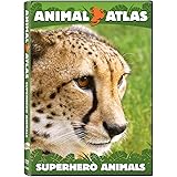 Amazon.com: Animal Atlas ABCs: Animals!, Animal Atlas: Movies & TV