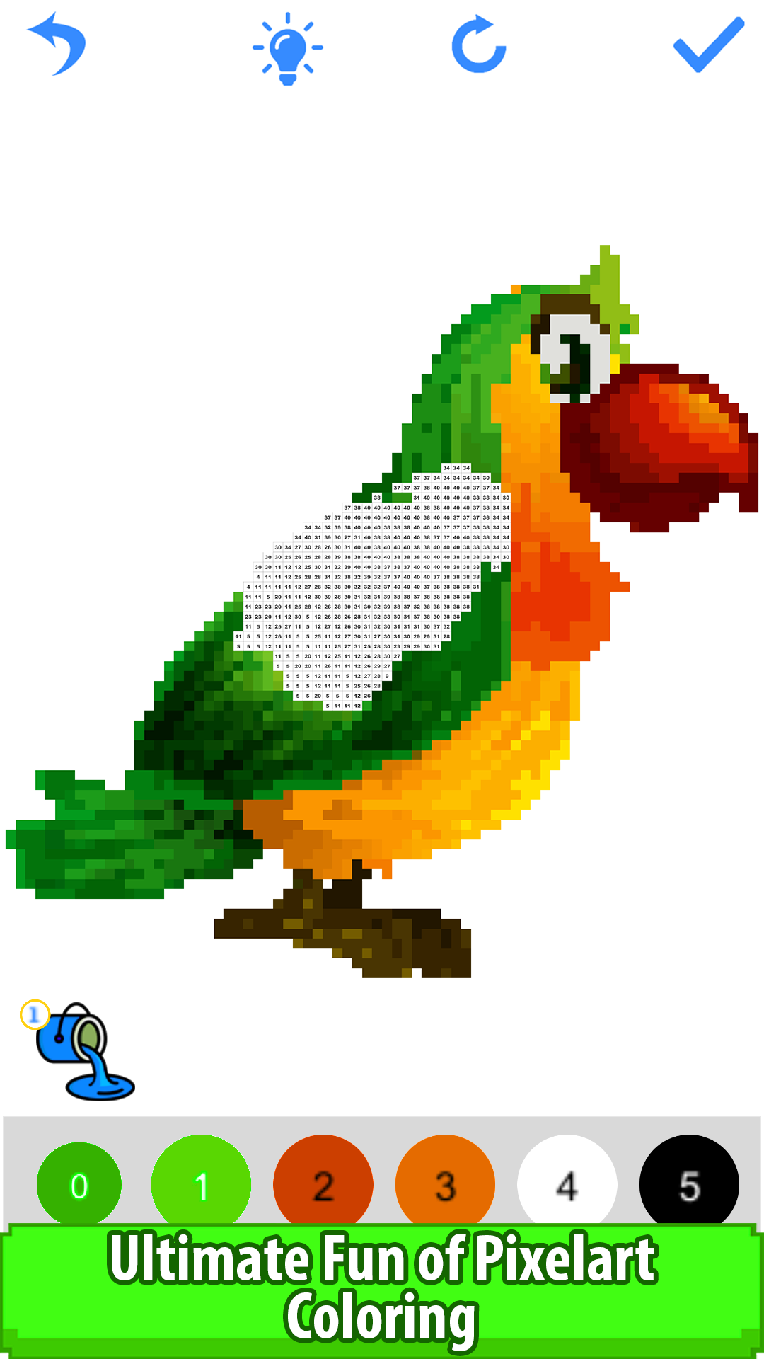 Amazon.com: Birds Pixel Art - Paint by Number, Sandbox Coloring Pages ...