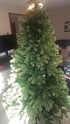 Amazon.com: National Tree 7.5 ft. Downswept Douglas Tree with Clear ...