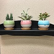 Amazon.com : Fellowes Plastic Partition Additions Shelf, 4 3/4 Inch x ...