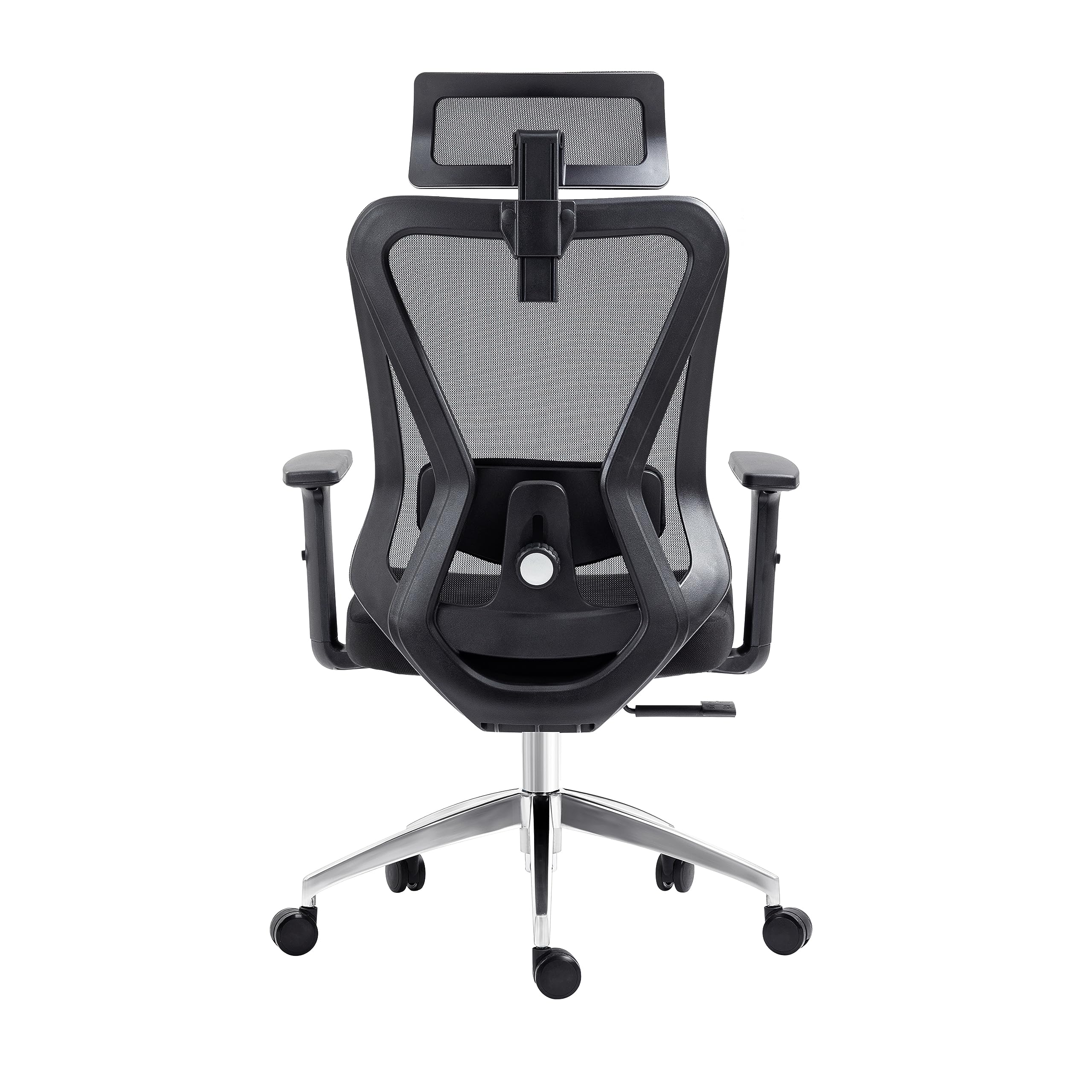Mua Truly Ergonomic Office Chair with Lumbar Support & Adjustable ...