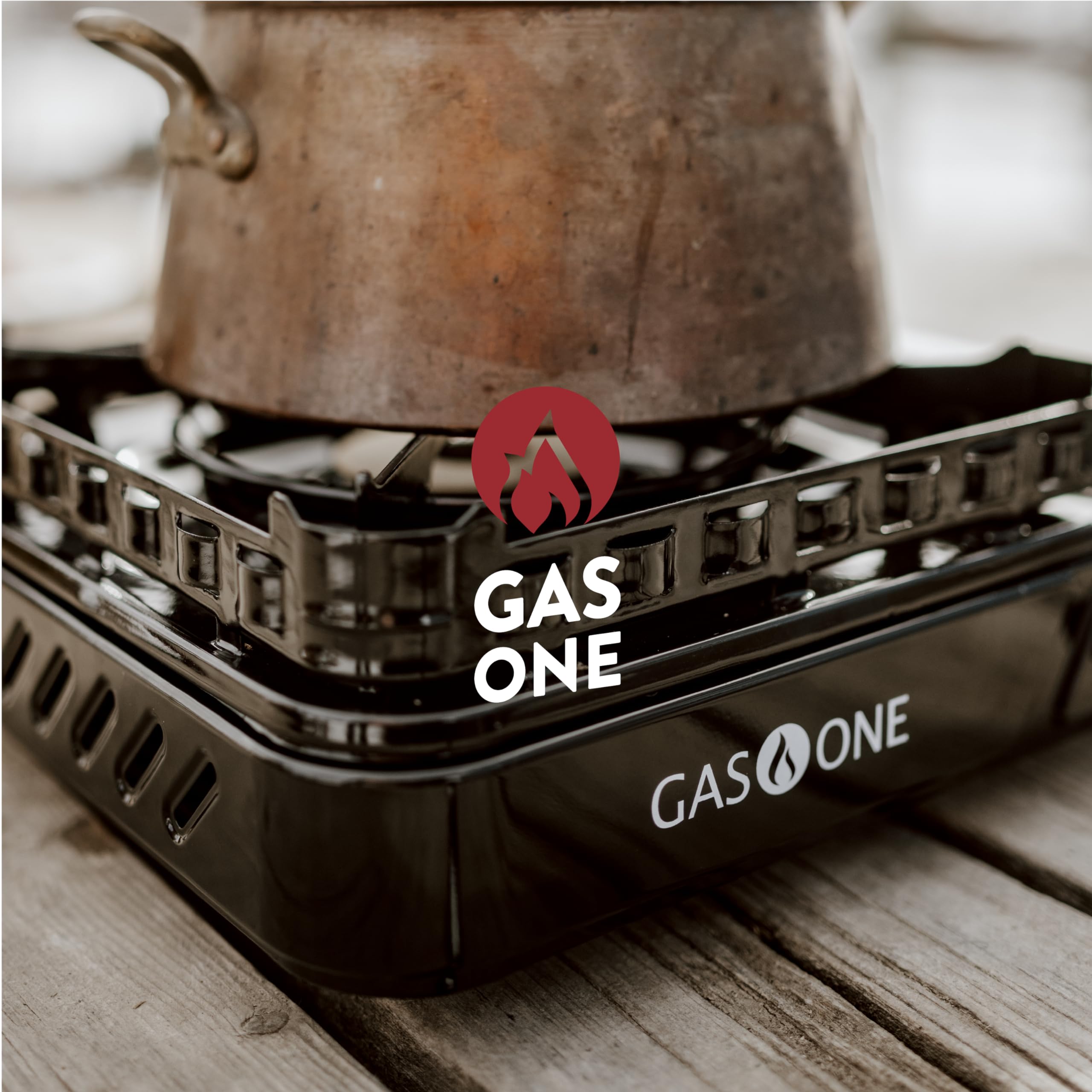 Mua Gas ONE GS-3900PB Dual Fuel Portable Stove 15,000BTU with Brass ...