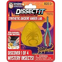 Amazon.com: Dissect-It Discover-It Simulated Synthetic Ancient Amber ...