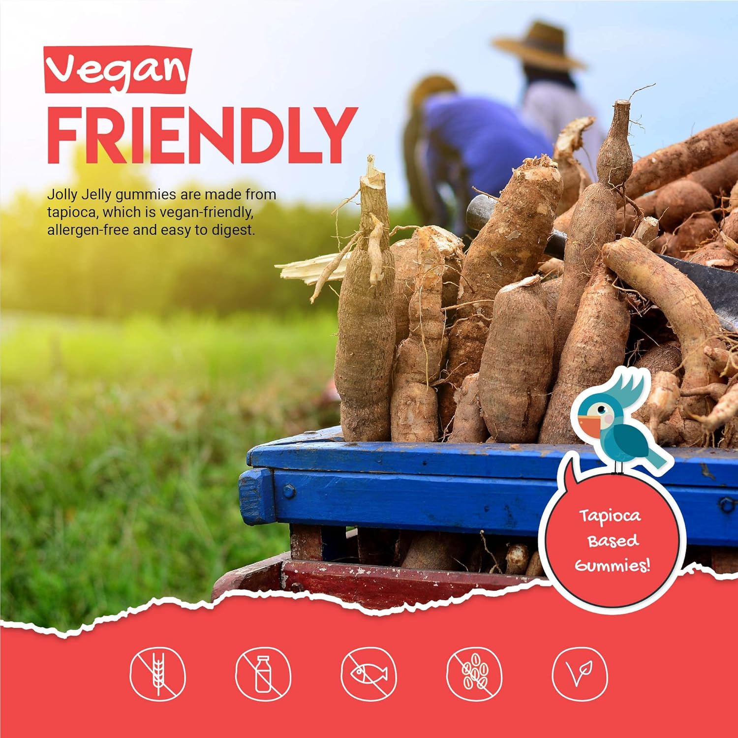 Vitamin B12 Tapioca Gummies – 3,000mcg – High Strength Methylcobalamin ...