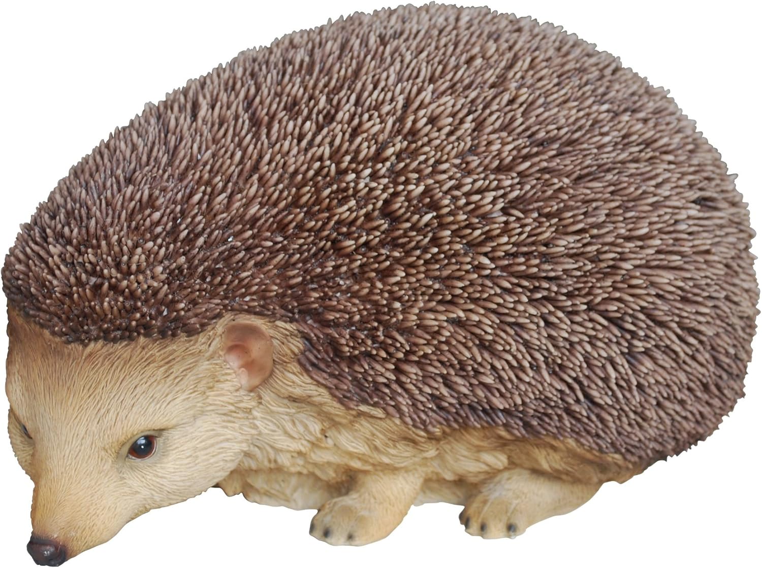 Vivid Arts Size-B Real Life Hedgehog: Amazon.co.uk: Garden & Outdoors