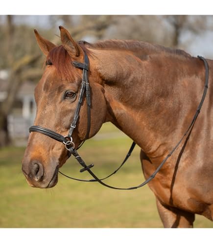 Bitless Bridle Horse Western Leather Training Tack Bitless Sidepull ...