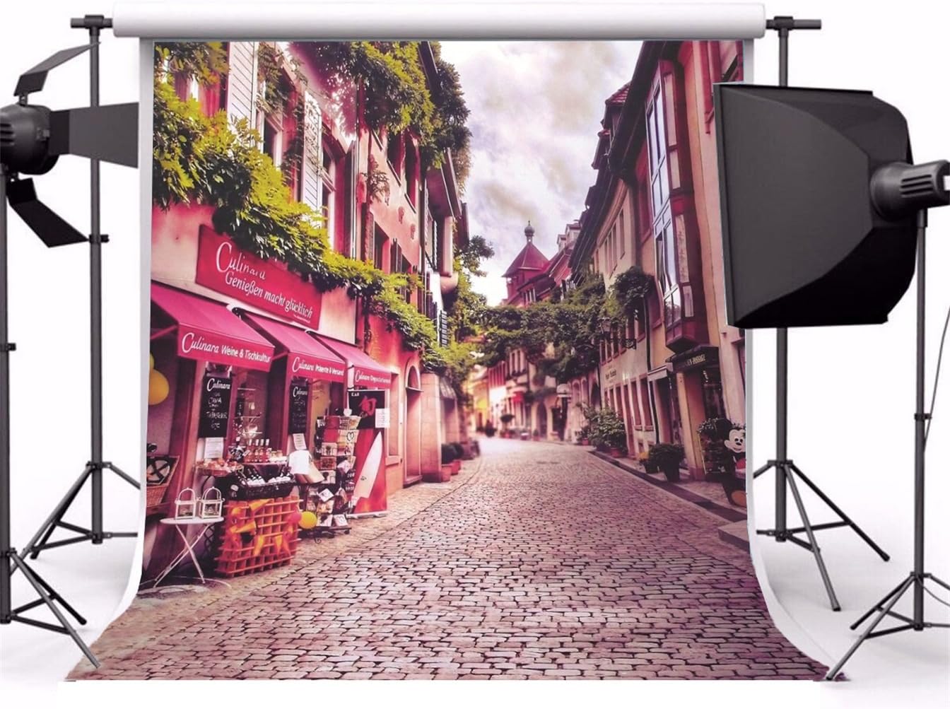 Amazon.com : AOFOTO 10x10ft Romantic Town Street Photography Backdrop ...