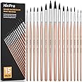 Amazon.com: Nicpro 15pcs Watercolor Paint Brushes, Round Pointed Tip ...