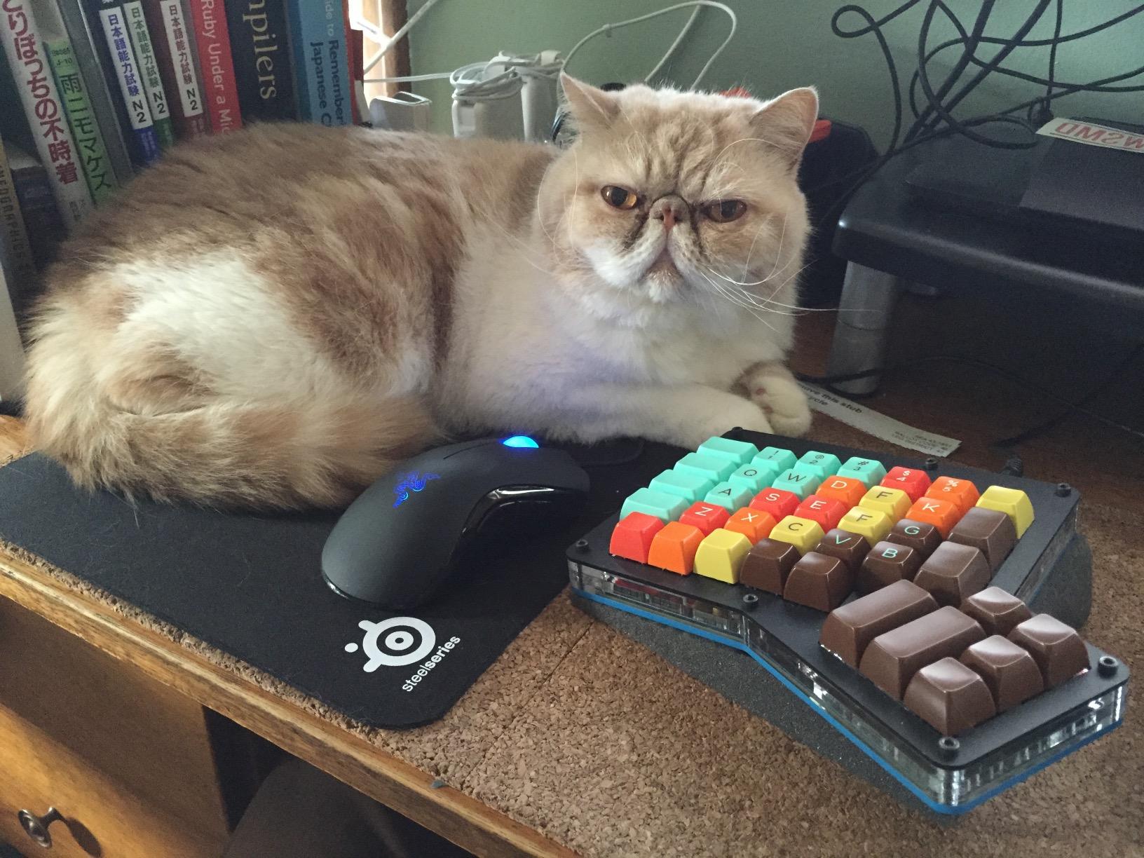 What is this keypad? : r/MechanicalKeyboards