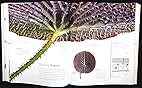 The Science of Plants: Inside Their Secret World: DK: 9780744048438 ...