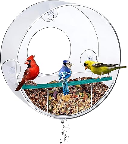 Amazon.com : Birdious Circular Window Bird Feeder with Strong Suction ...