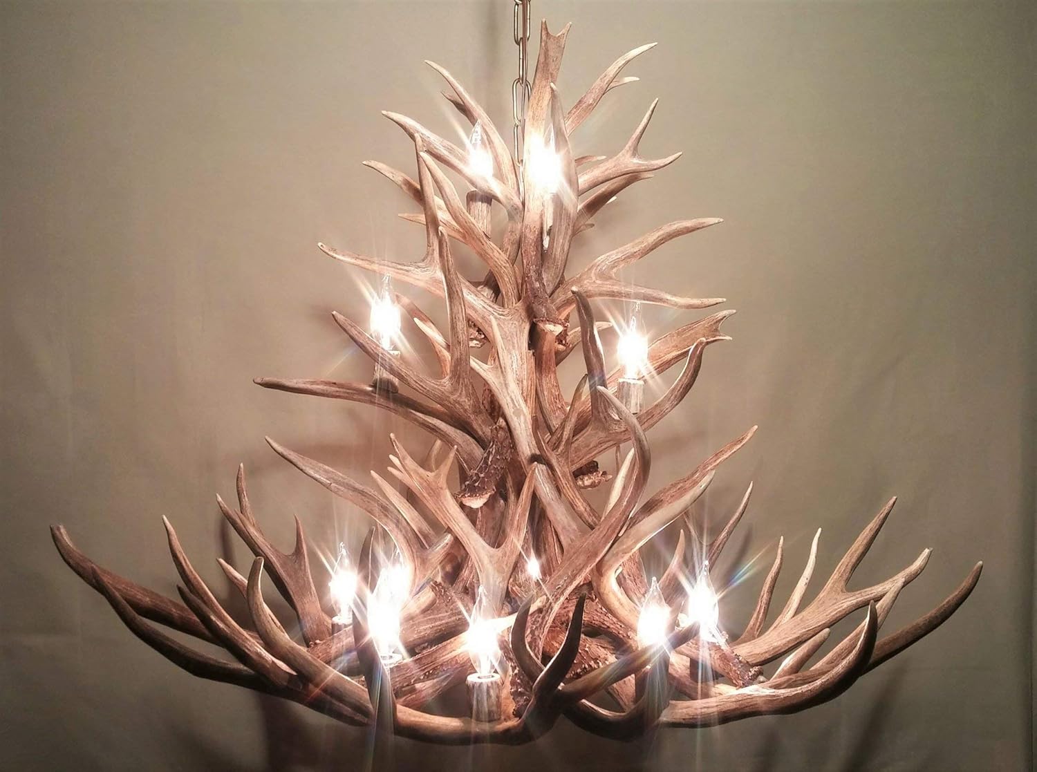 Amazon.com: REAL ANTLER CHANDELIER, 14 LIGHTS, SHED ANTLER ART, ELK ...