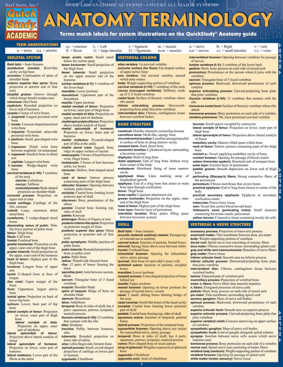 Mua Anatomy Terminology QuickStudy Laminated Reference Guide ...