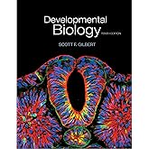 Developmental Biology: Barresi, Michael, Gilbert, Scott: 9780197574591 ...