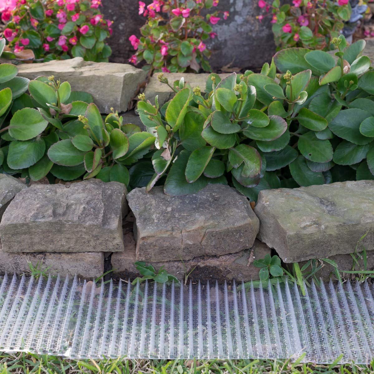 Cat Repellent Outdoor Scat Mat: Pet Deterrent Mats for Cats, Dogs ...